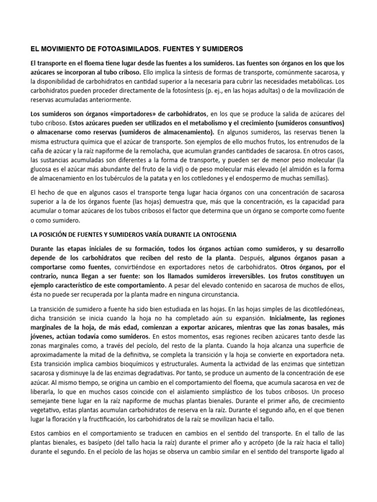 Movimiento de Fotoasimilados: Fuentes y Sumideros | PDF | Tallo de la ...