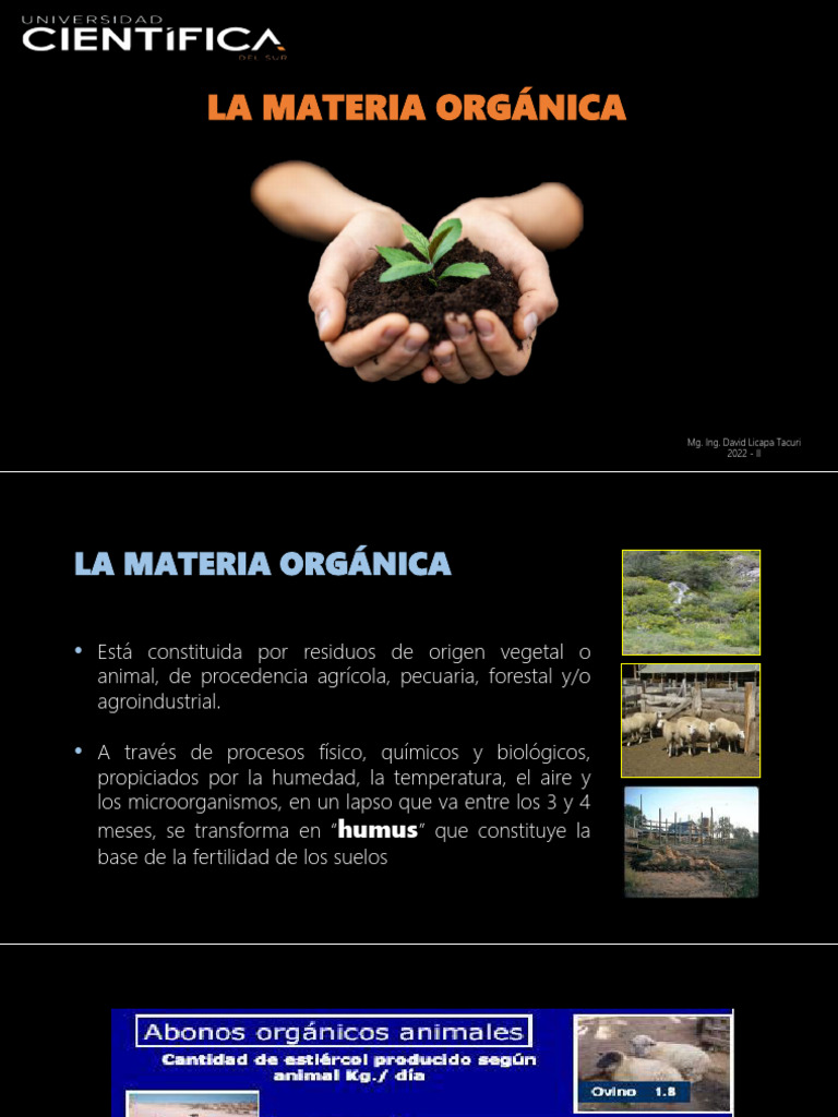 10 Materia Organica del suelo | PDF | Suelo | Química
