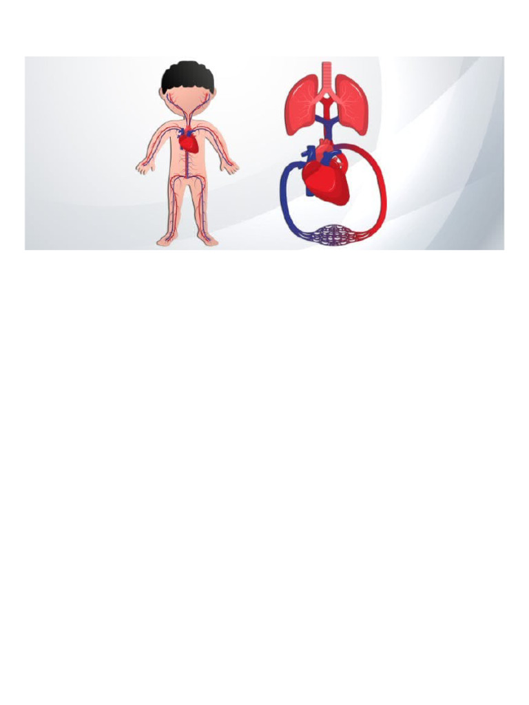 Imagenes Disertacion Elena 2 | PDF