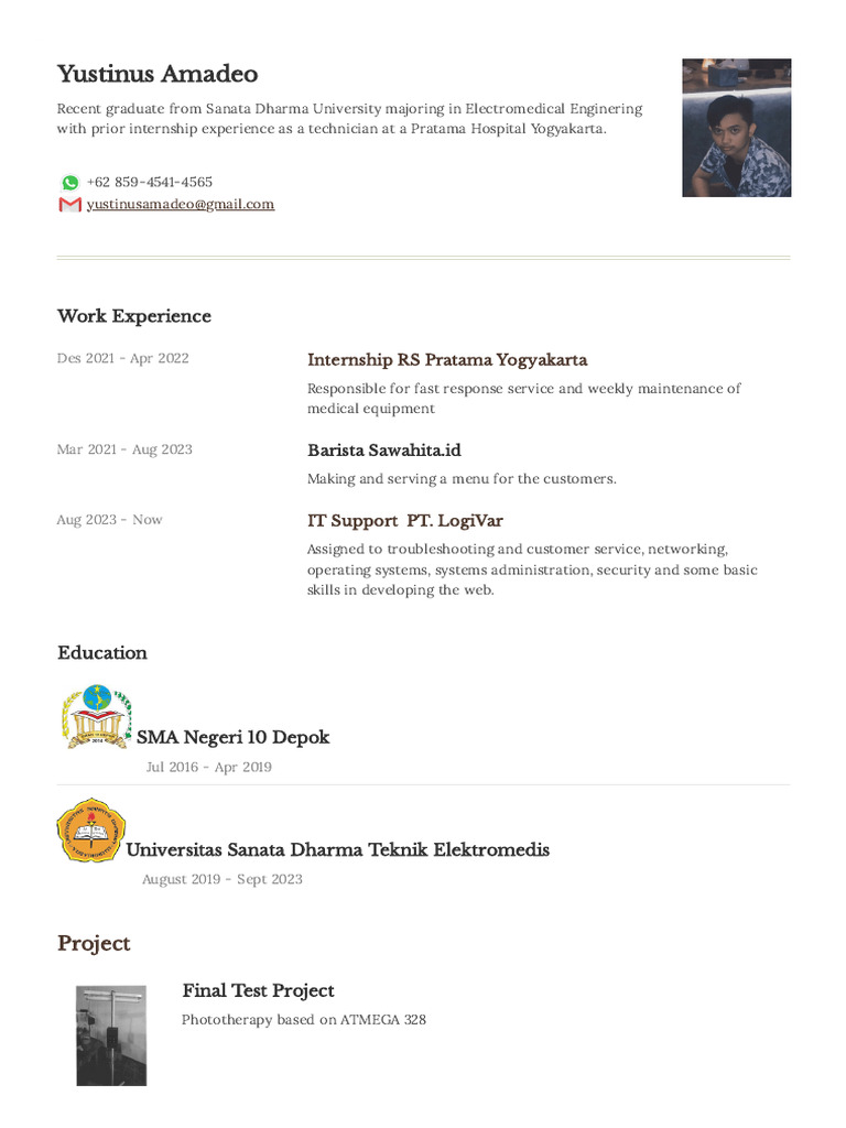 Curicculum Vitae Yustinus Amadeo | PDF