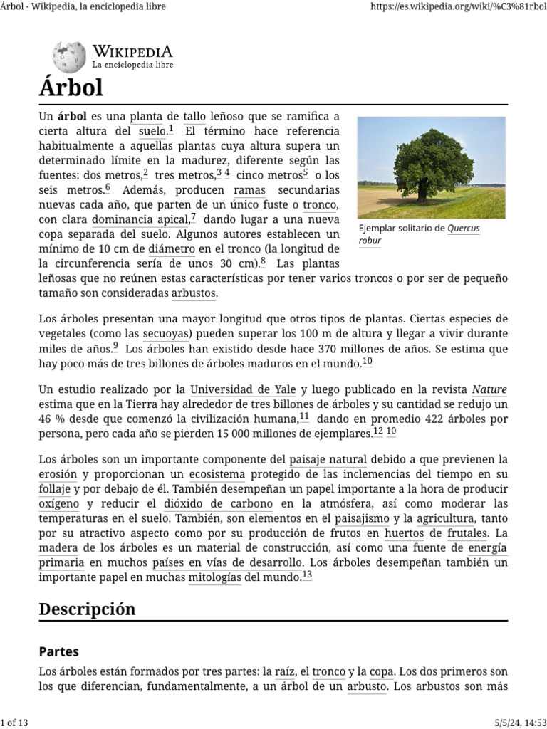 arbol | PDF | Arboles | Hoja