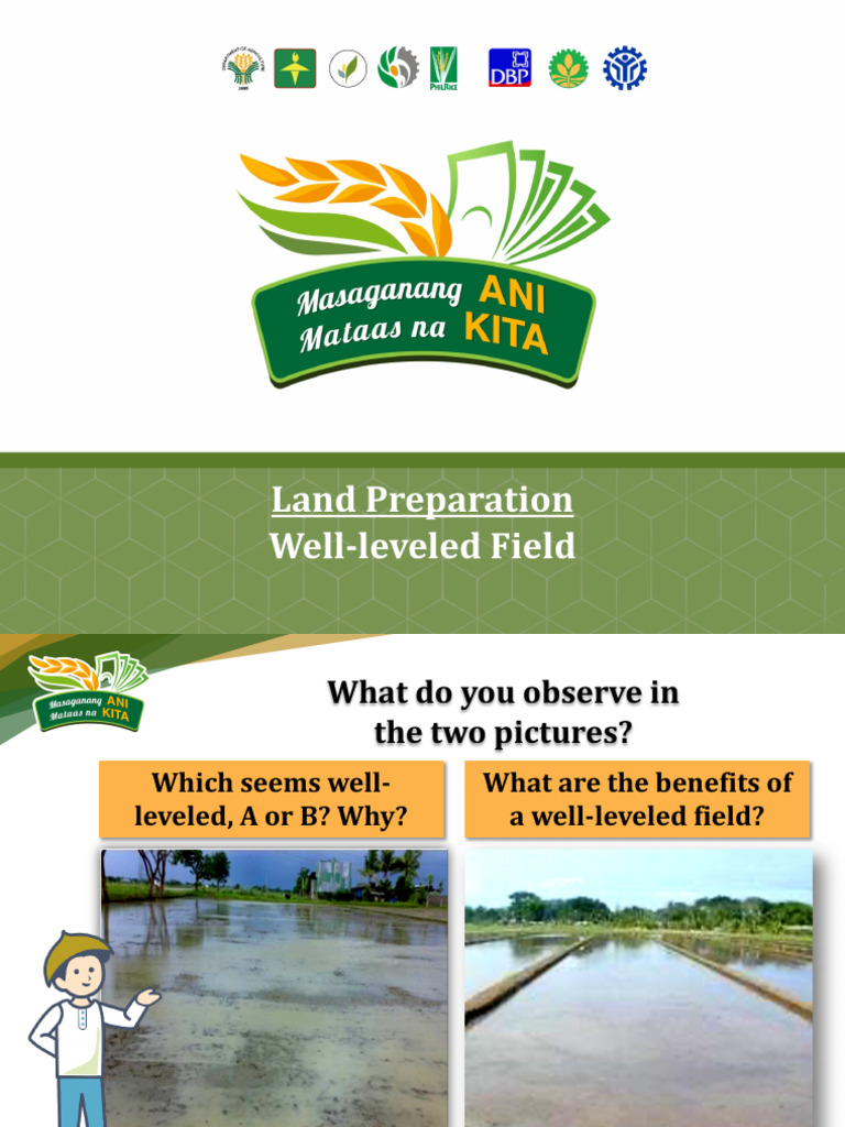 Enhancing Rice Yield with Level Fields | PDF | Rice | Agricultural ...