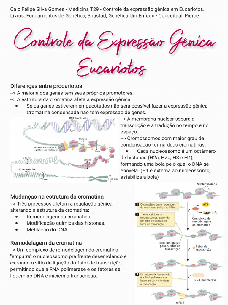 Aula 6 - Controle Da Expressão Gênica - Eucariotos | PDF