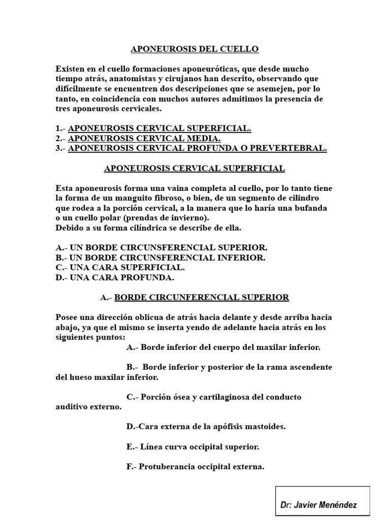 Anatomía de la Aponeurosis Cervical | PDF | Anatomía | Sistema esquelético