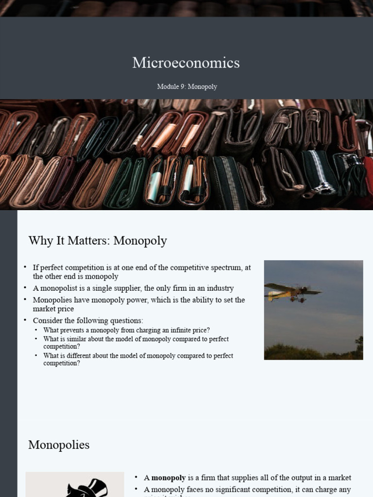 Microeconomics 9 Monopoly | PDF | Monopoly | Profit (Economics)