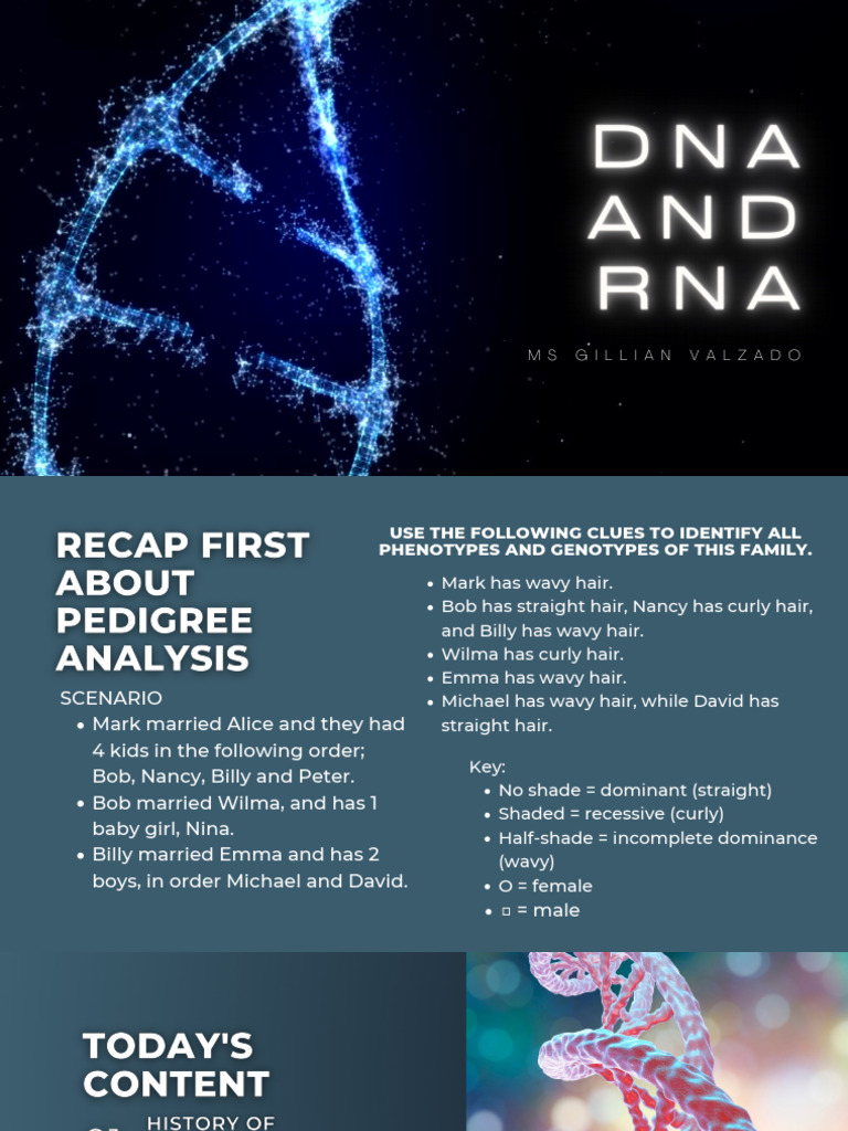 5 - DNA and RNA | PDF | Rna | Dna