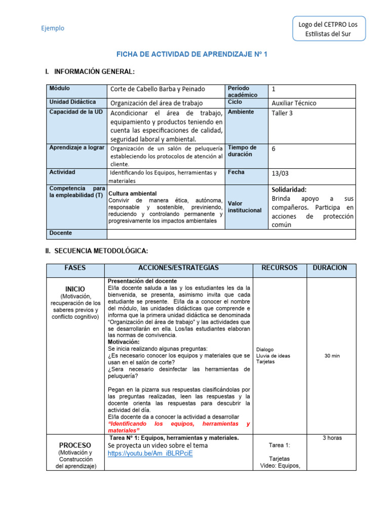 Modelo Ficha de Actividad de Aprendizaje | PDF | Evaluación | Metacognición