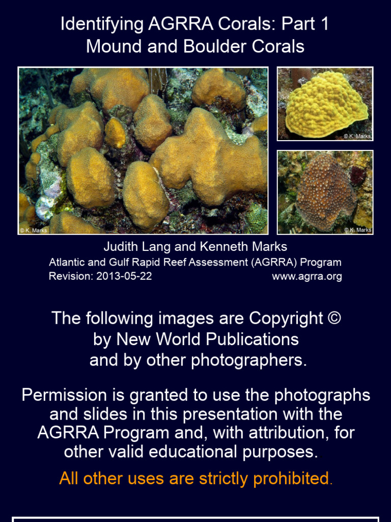 Coral ID-1 | Download Free PDF | Coral