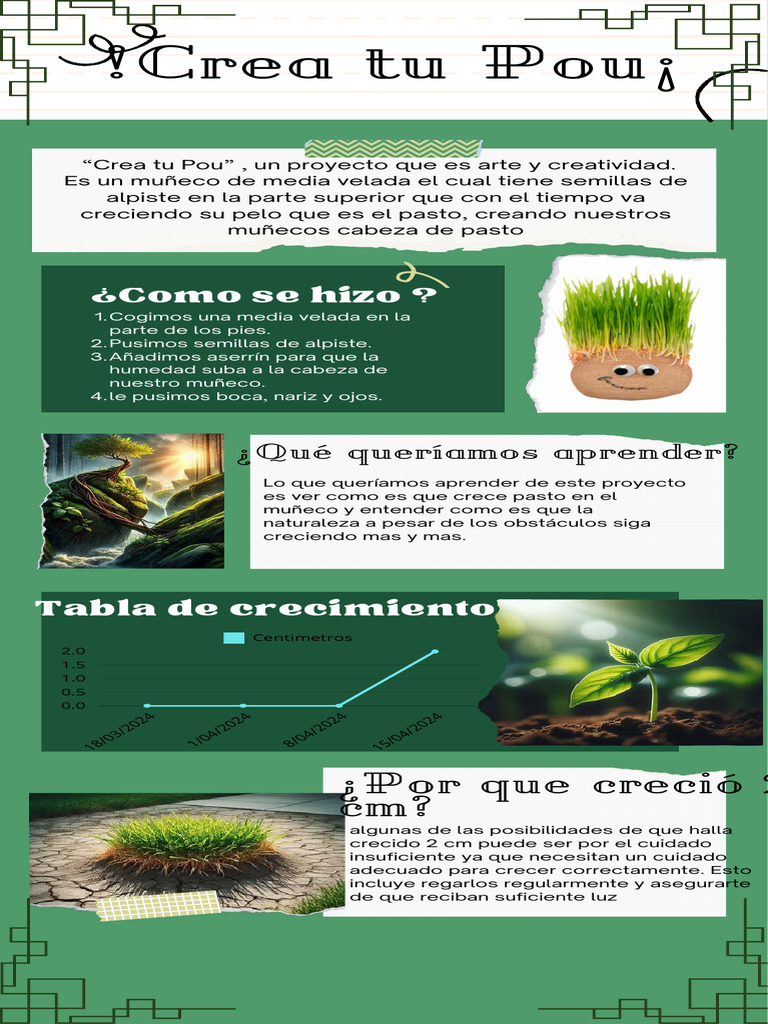 !crea Tu Pou¡ | PDF