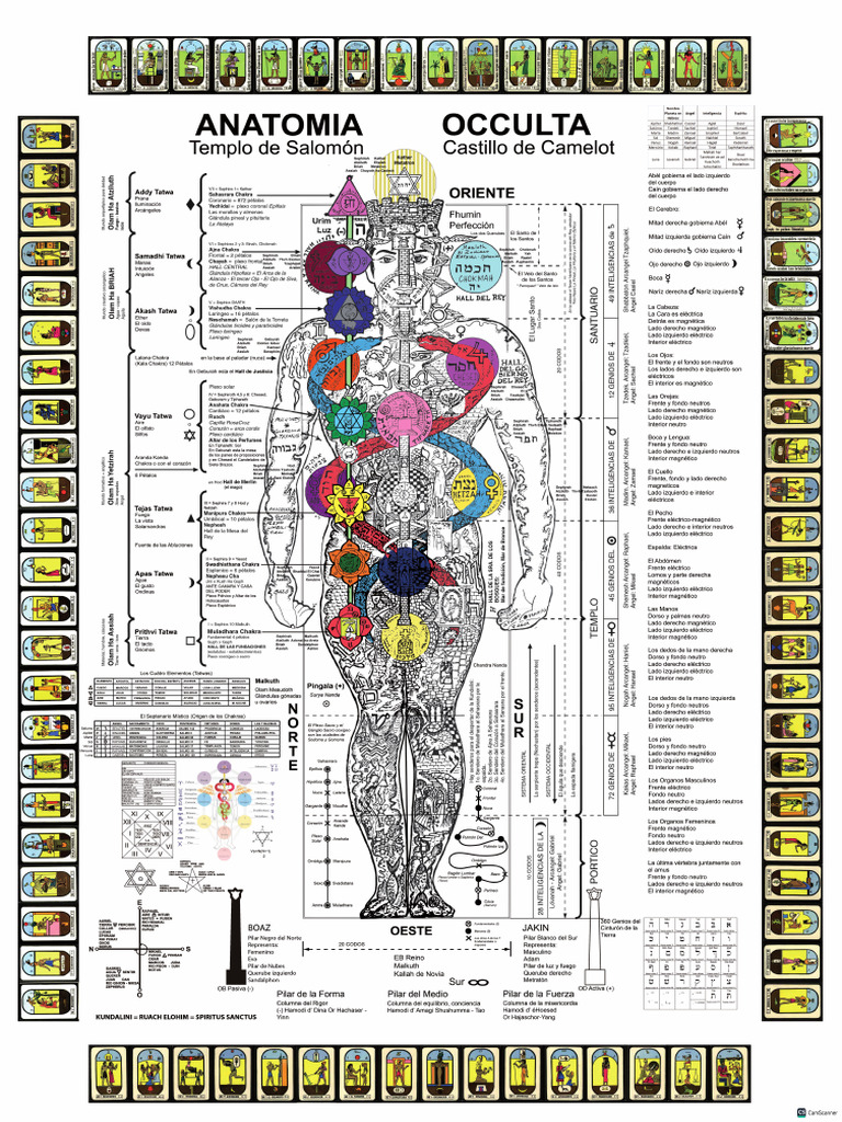 Anatomiaoculta | PDF