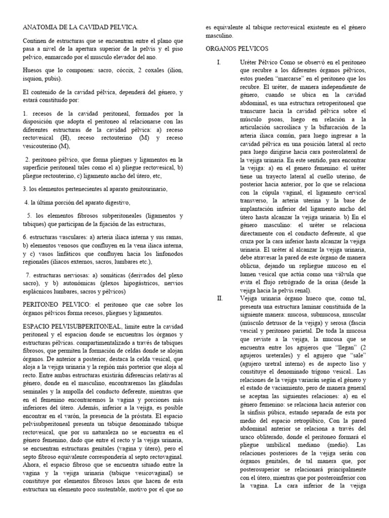 Anatomía de la Cavidad Pelvica | PDF | Pelvis | Recto