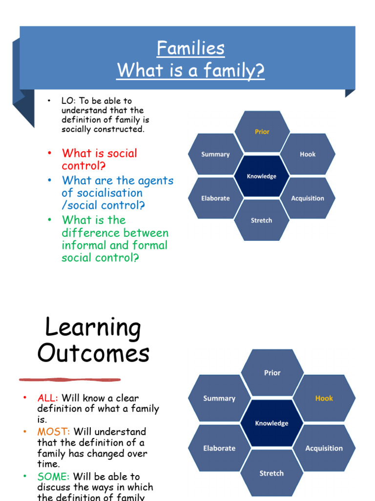 LP 1, 2, 3 Family Diversity, Theory and Reasons Wha Edit2021 | Download ...