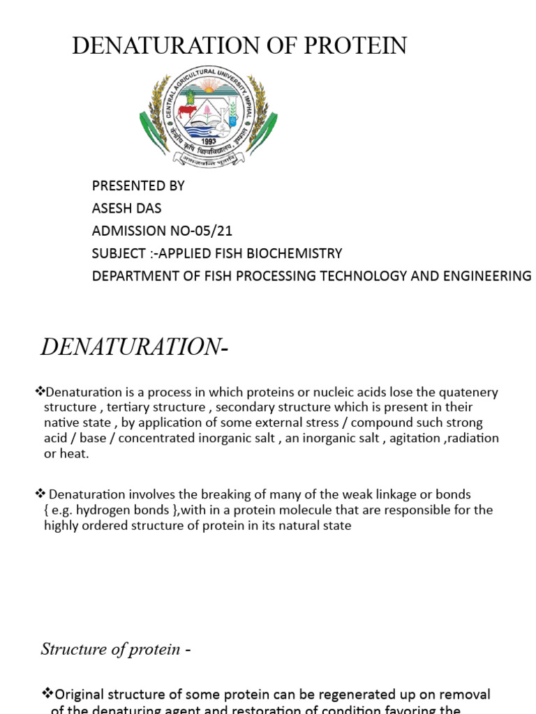 DENATURATION of PROTEIN Sir Majumder Presentation | PDF | Denaturation (Biochemistry) | Dna
