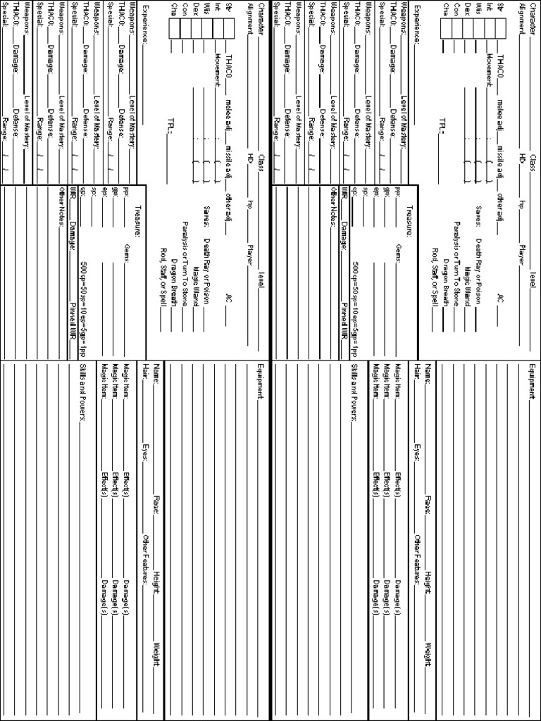 Basic Quick Character Sheet | PDF