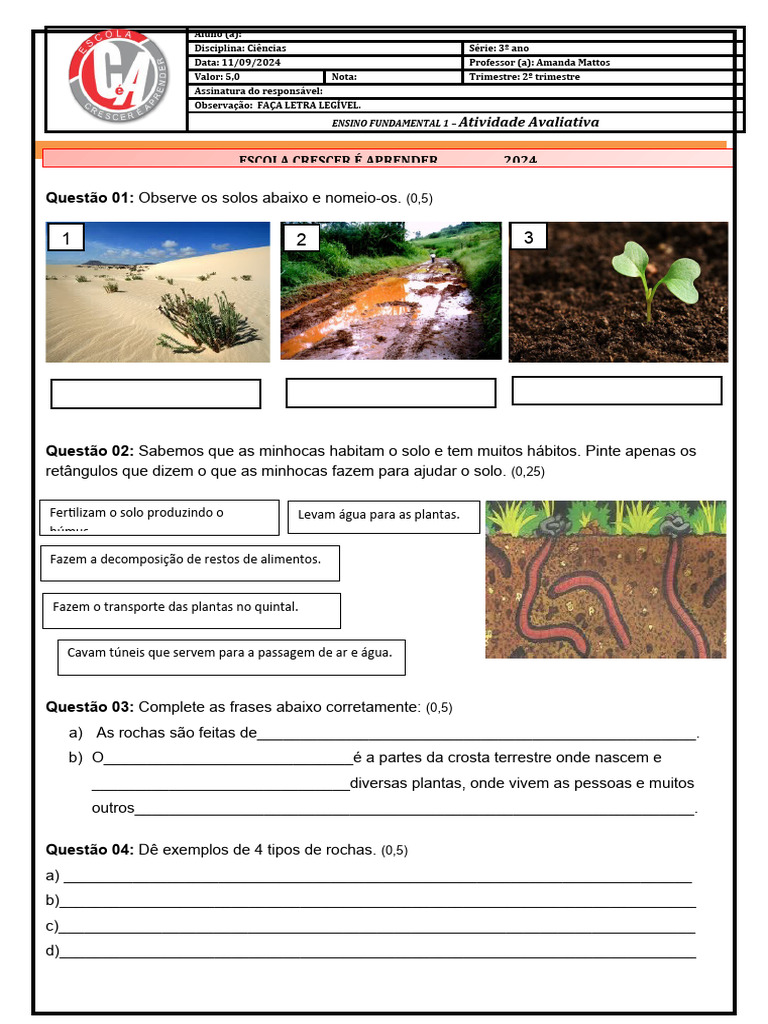 Atividade Avaliativa 3º Ano As Rochas e Solo | PDF | Solo | Materiais ...