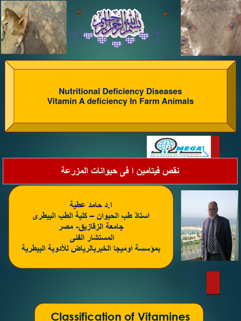 Vitamin A Deficiency in Farm Animals | PDF | Vitamin A | Vitamin