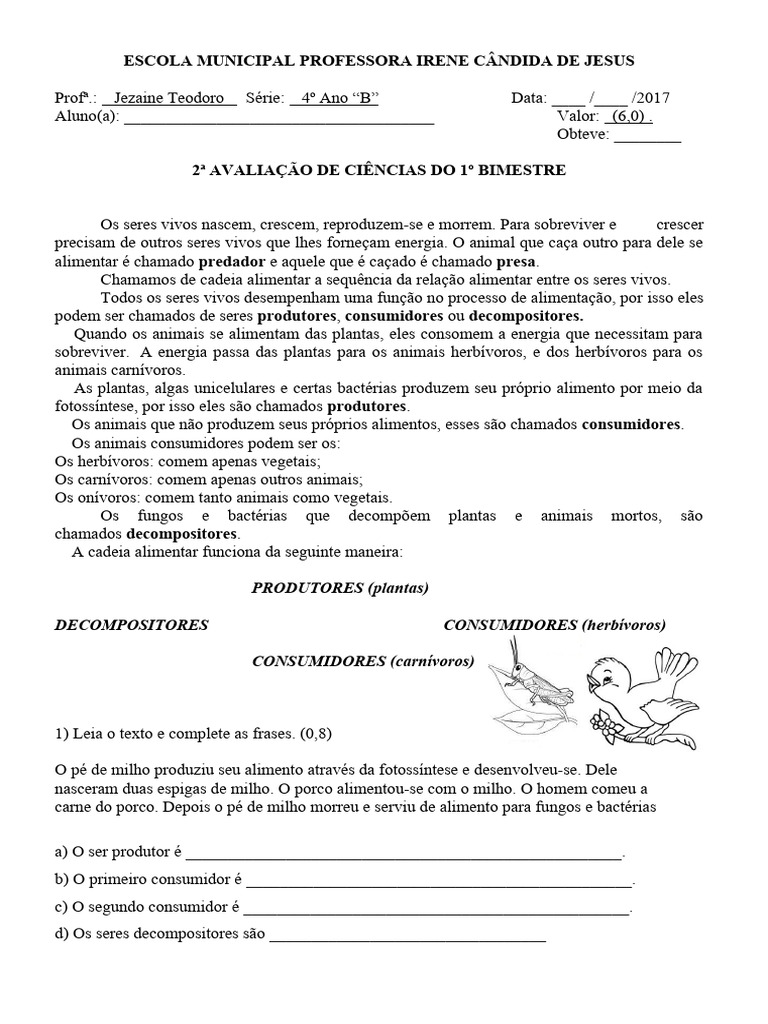 2 AVAL CIÊN - Cadeia Alimentar | PDF | Herbívoro | Plantas
