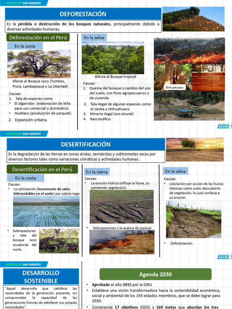 Recursos Naturales Y Desarrollo Sostenible Pdf Deforestación