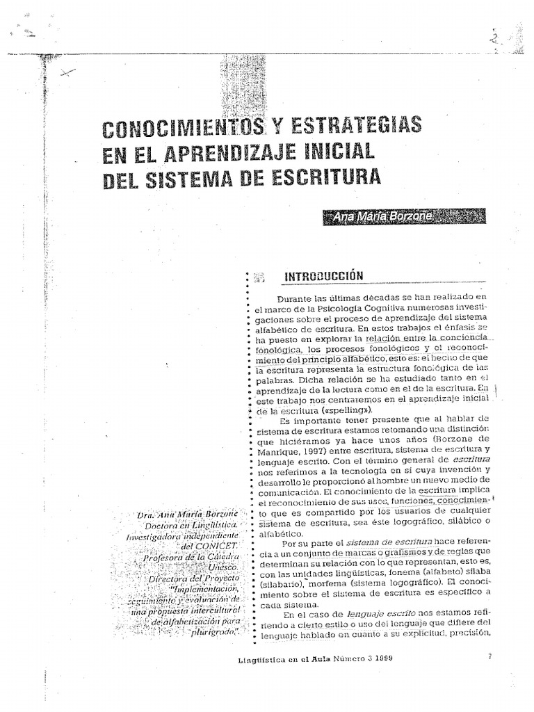 Borzone | PDF