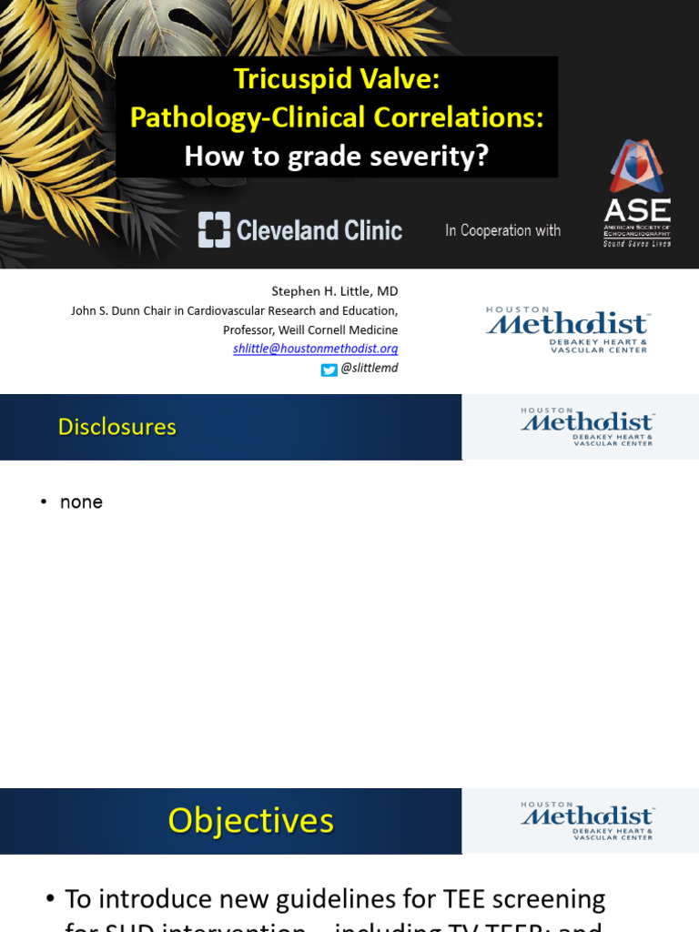 0727 Little - TV TR Severity 1-31 - CCF Miami Feb 2023 | PDF | Heart ...