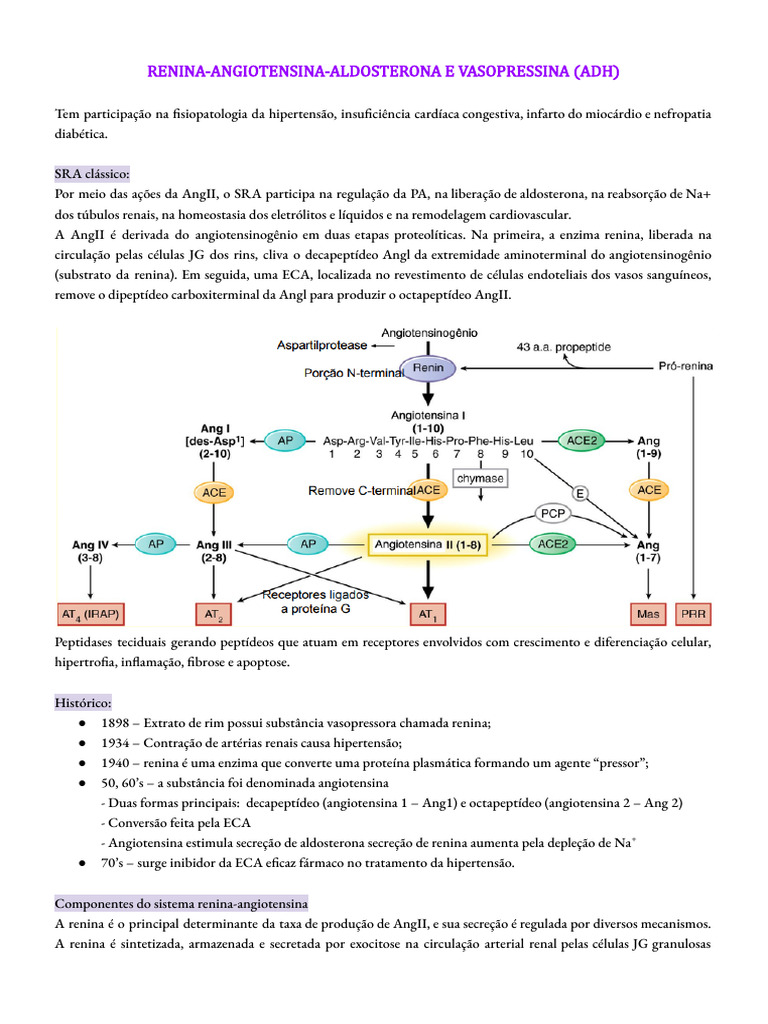 Renina-Angiotensina-Aldosterona e Vasopressina (Adh) (1) | PDF