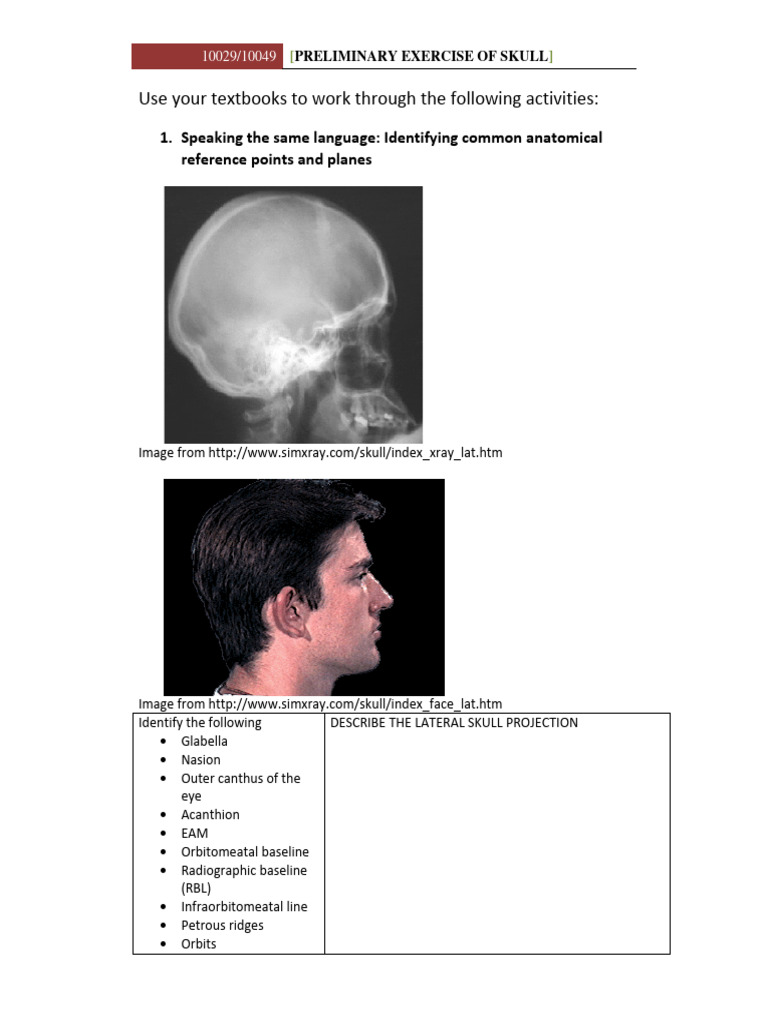 Preliminary Exercise For Skull | Download Free PDF | Skull | Radiography