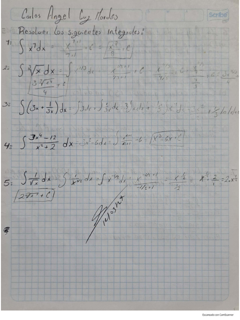 Problemario 2 La Integral Indefinida | PDF