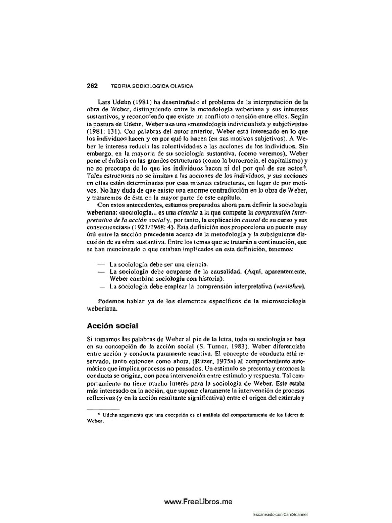 Texto Ritzer (Weber) | PDF