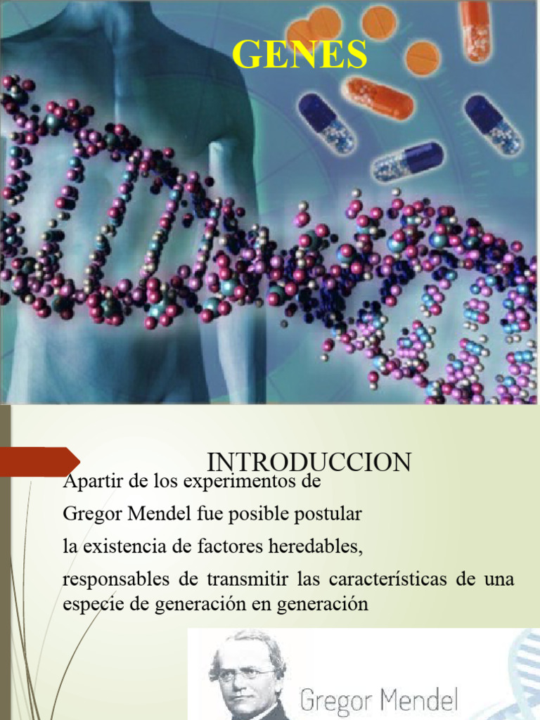 Comprendiendo los Genes y su Función | PDF | Gene | La expresion genica