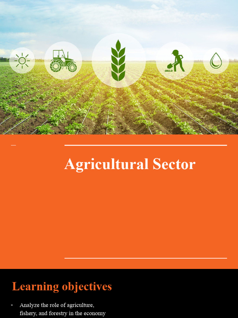 Philippine Agricultural Sector Overview | PDF | Agriculture | Farms
