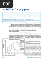 JAX Mice Pup Appearance by Age: Balb/Cj | PDF