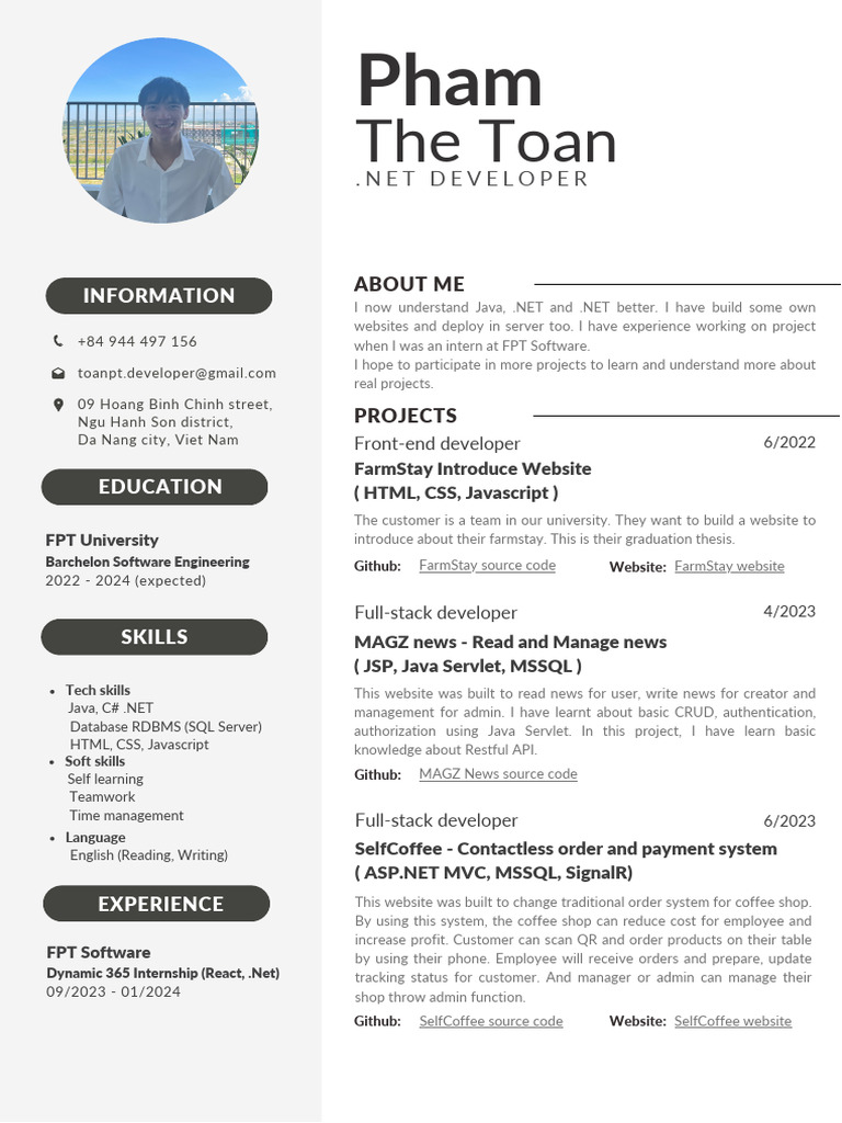 PhamTheToan NetDeveloper | PDF | Microsoft Sql Server | Java (Programming Language)