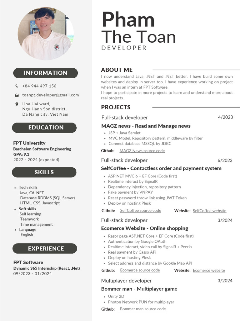 PhamTheToan CV | PDF | Microsoft Sql Server | Software Engineering