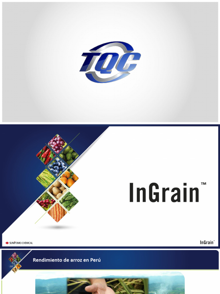 Eficacia de InGrain en Cultivo de Arroz | PDF | Agricultura