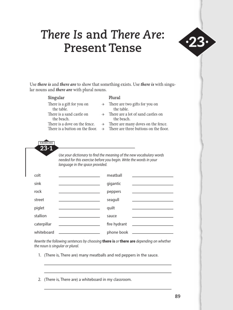 There Is / There Are Exercises | PDF
