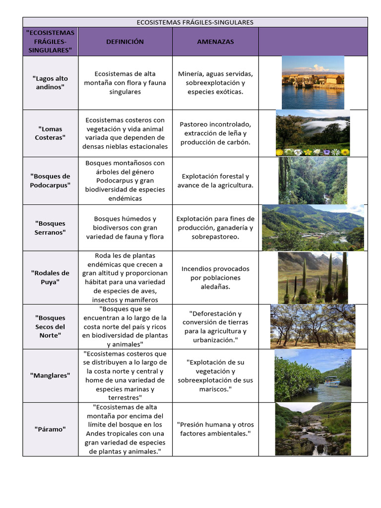 Ecosistemas Frágiles | PDF | Los bosques | Ecosistema