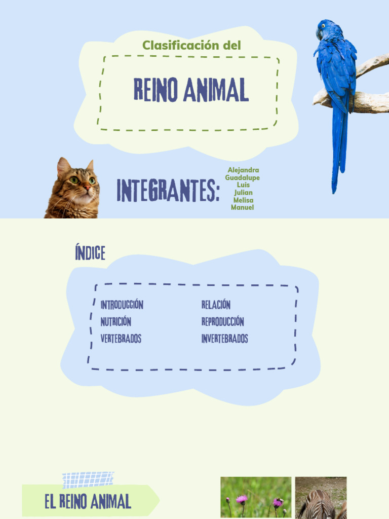 Reino Animal - Ale | PDF | Vertebrados | Invertebrado