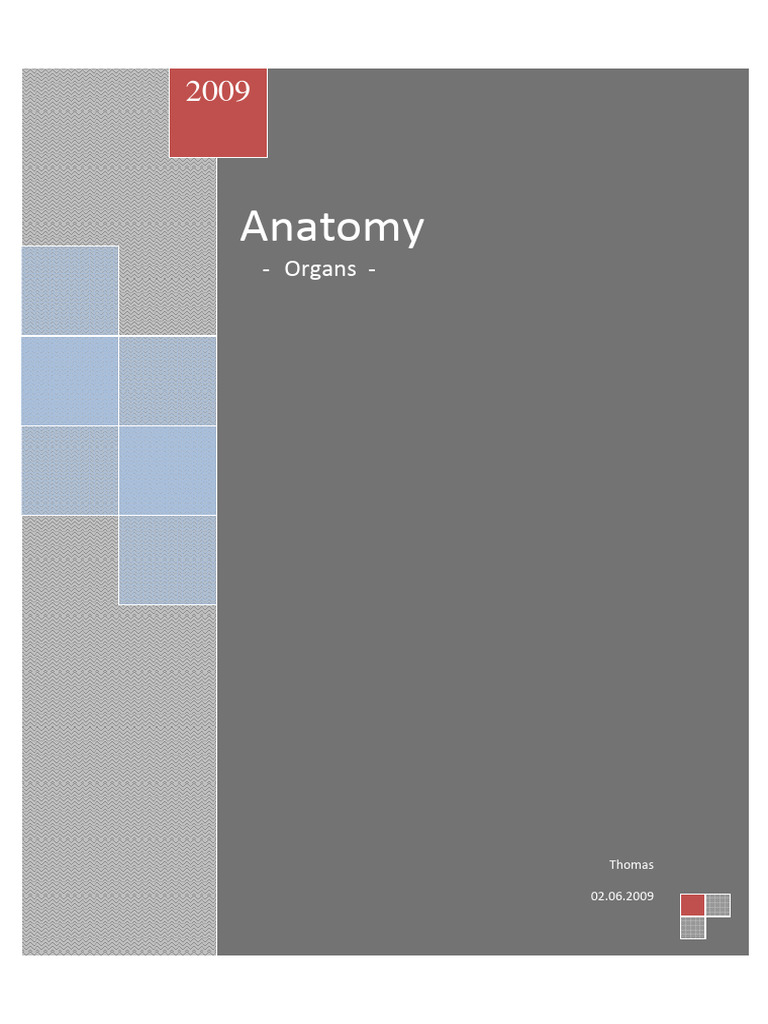 Anatomy - Organs Script | PDF | Tongue | Atrium (Heart)