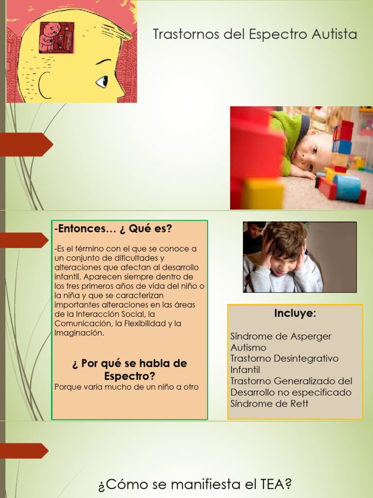 Que Es TEA | PDF | Espectro autista | Neurociencia