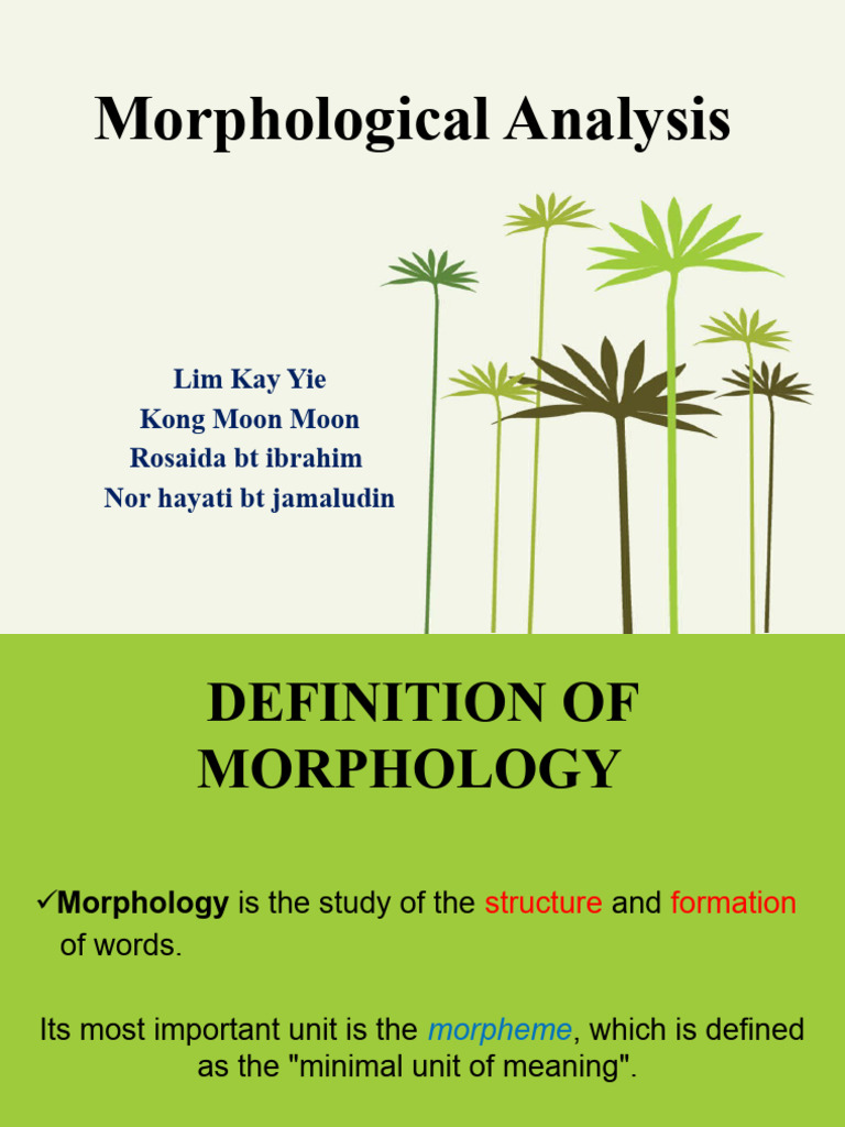 Understanding Morphology and Morphemes | PDF | Word | Grammatical Number