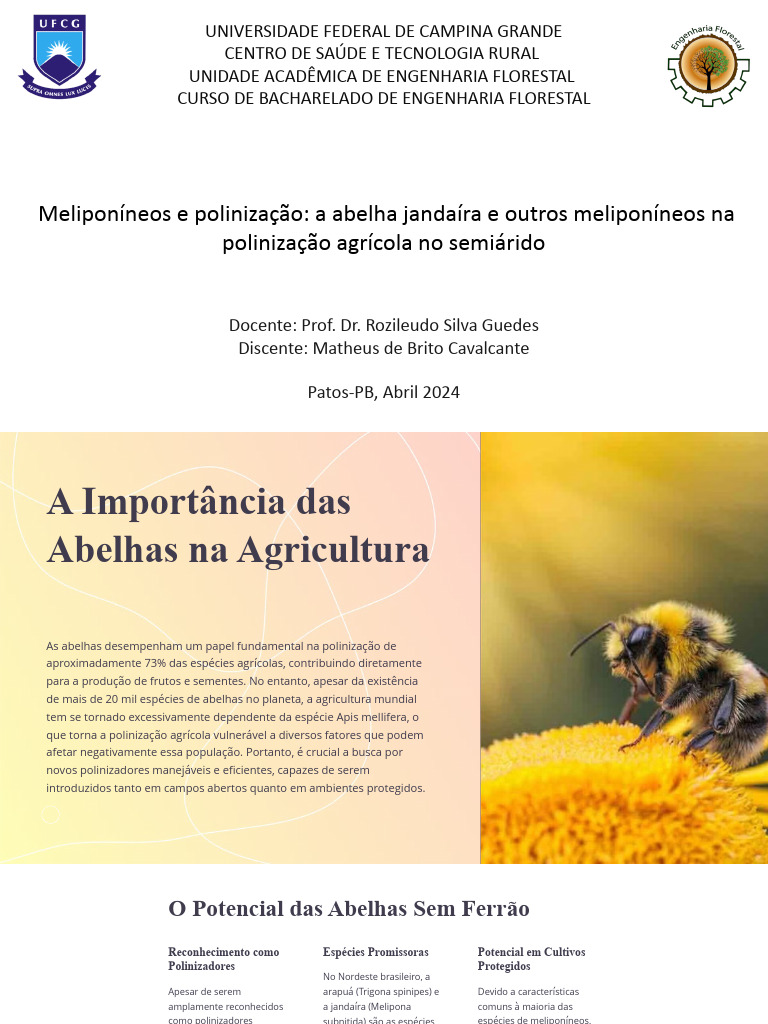 A Importancia Das Abelhas Na Agricultura | PDF | Abelhas | Agricultura