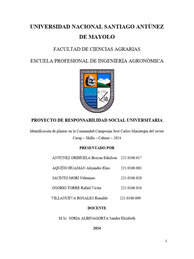 Esquema de Proyecto de Responsabilidad Social Universitaria - UNASAM 2024 - 1. | PDF ...