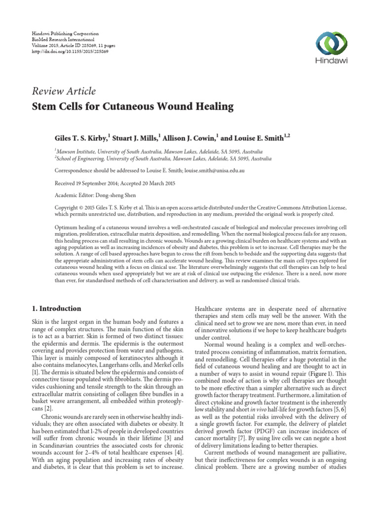 Article Stem Cells | PDF | Wound Healing | Mesenchymal Stem Cell