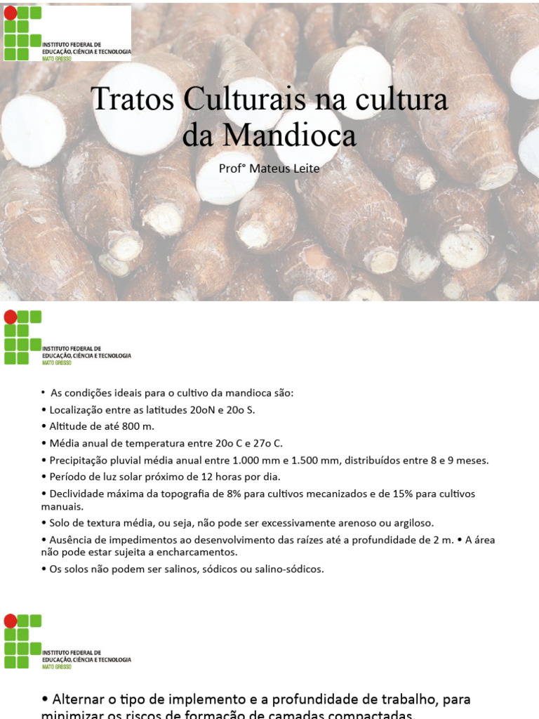 AULA 3 - Tratos Culturais Na Cultura Da Mandioca | PDF | Solo | Erosão