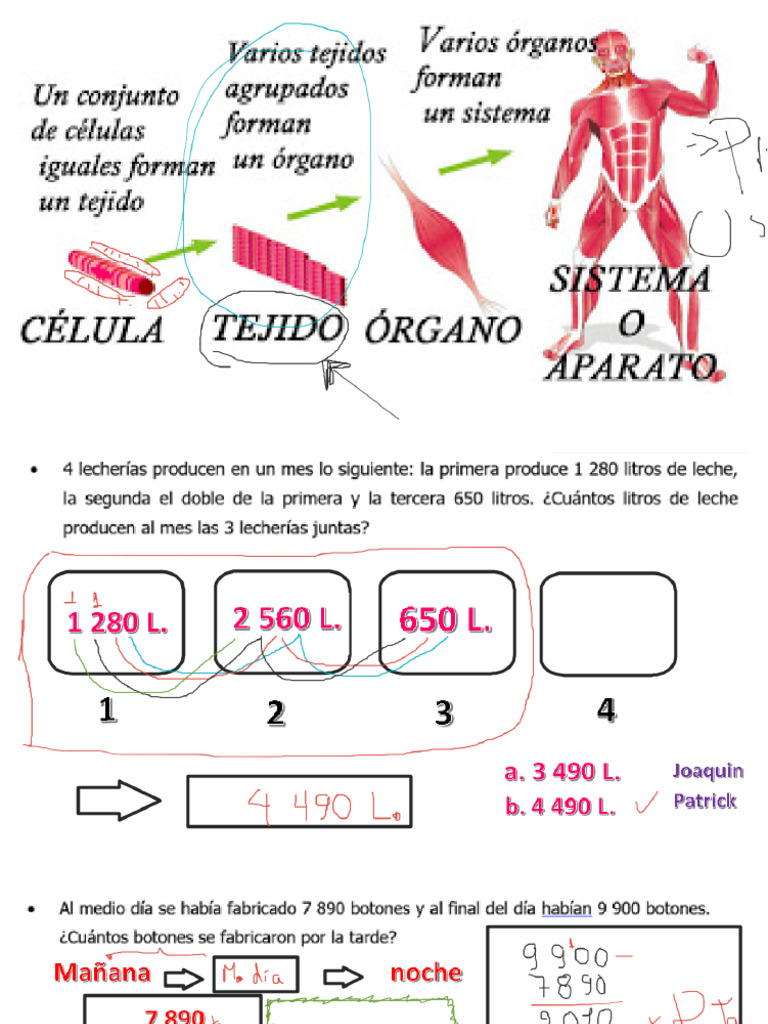 Avance Matematica | PDF