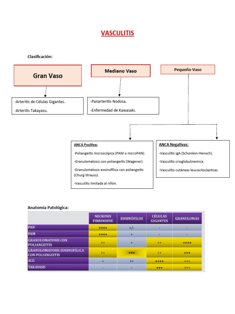 Vasculitis | PDF | Corticosteroides | Medicina