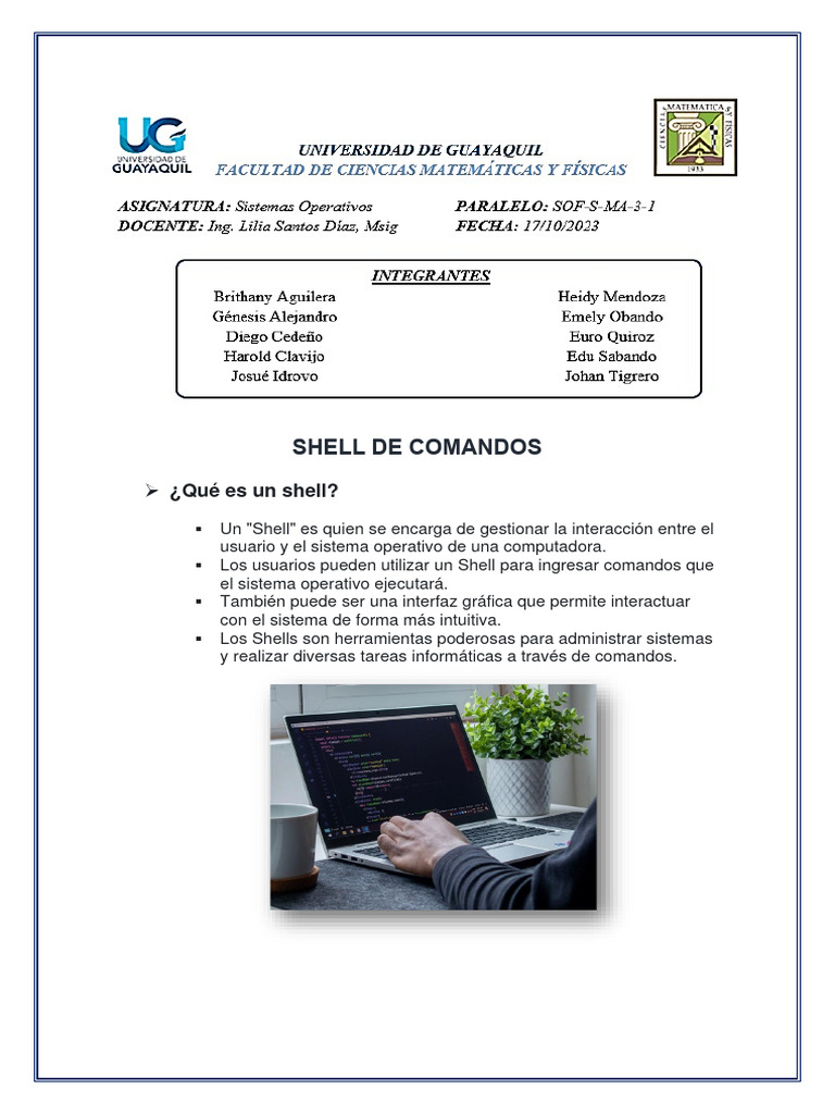 Shell de Comandos | PDF | Interfaz de línea de comando | Sistema operativo
