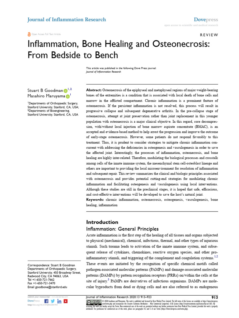 Inflammation, Bone Healing and Osteonecrosis | PDF | Inflammation | Nf κb