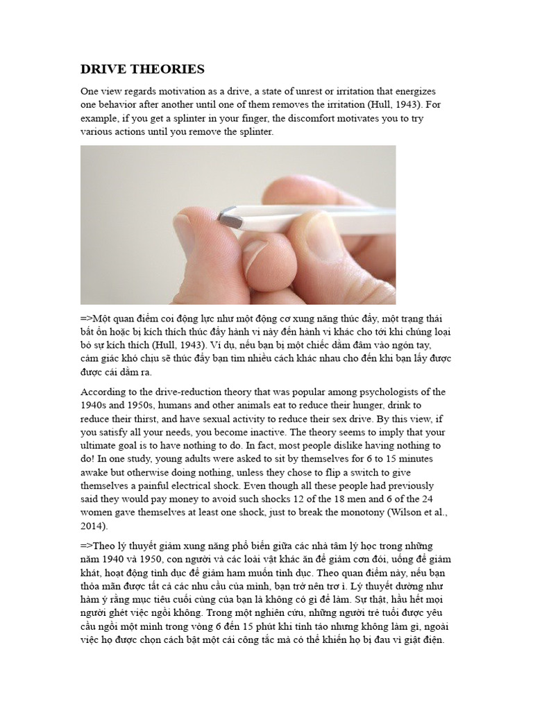 Drive Theories | PDF