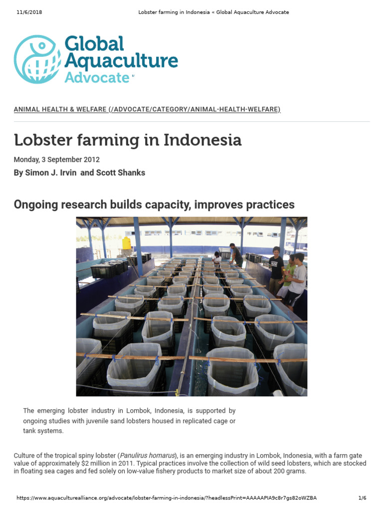 Lobster Farming in Indonesia | PDF | Aquaculture | Agriculture
